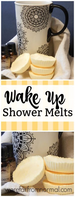 Wake Up Shower Melts